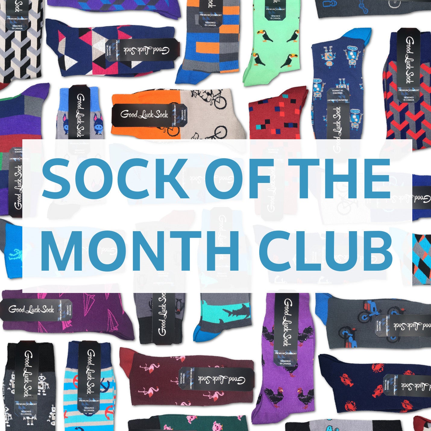 Sock of the Month Club – Good Luck Sock